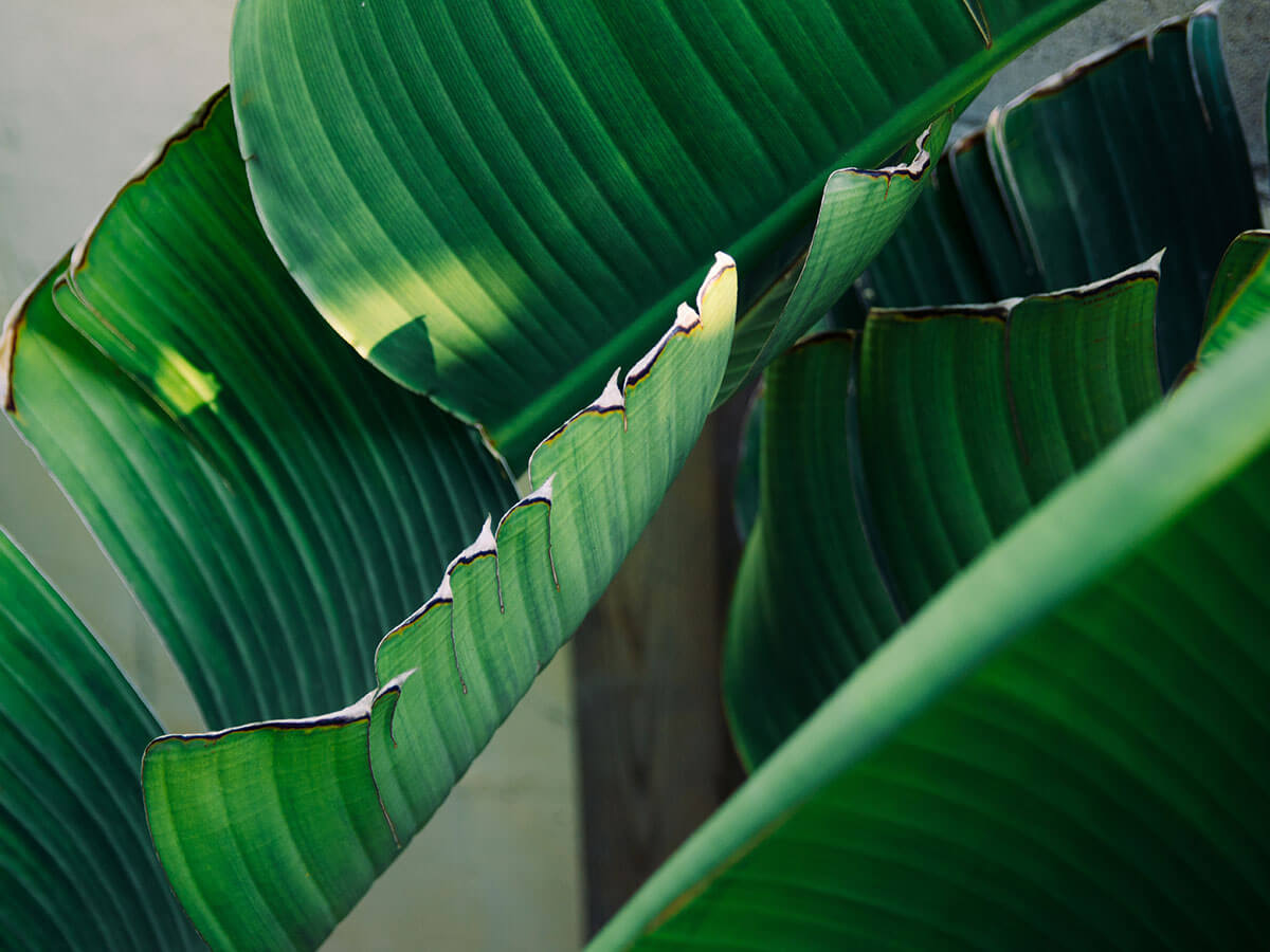 How To Find Good Spots For Nature Inspired Photo-Shoots – Gillion News Demo